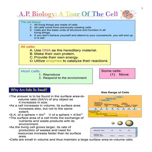 Cell Notes | PDF
