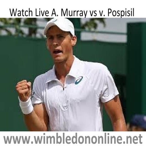 A. murray vs v. pospisil wimbledon gentlemen's 2015 | PPT