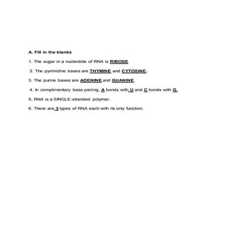 RNA worksheet | DOCX