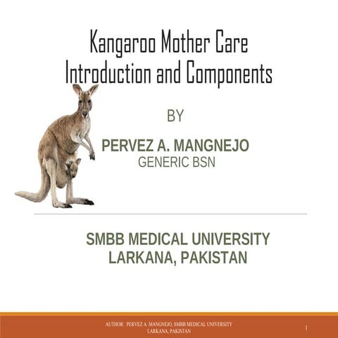 Kangaroo Mother Care | PPT