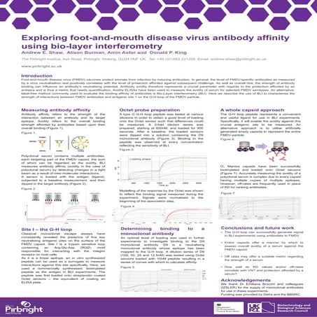 EXPLORING FOOT-AND-MOUTH DISEASE VIRUS ANTIBODY AFFINITY USING BIOLAYER ...