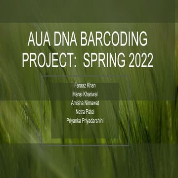 A. AUA DNA Barcoding Project - AUA Research Group - Spring 2022.pptx