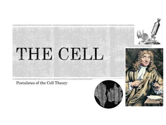 Cell and cell theory | PPT