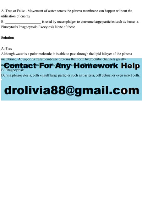 What are pseudo-assembly instructions and what are they used for.pdf