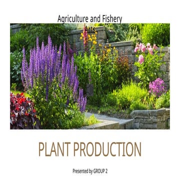 DAV Class 5 Plants | PPTX