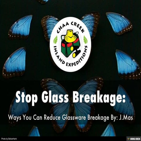 Stop Glass Breakage: | PDF