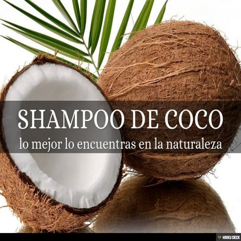 SHAMPOO DE COCO | PDF