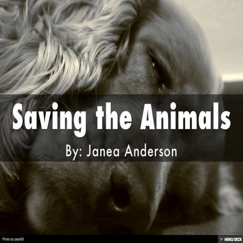 Saving the Animals | PDF