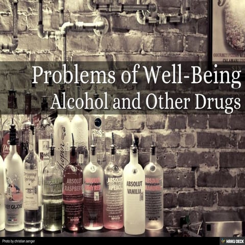 Problems of Well-Being | PDF | Photography | Arts and Crafts