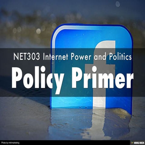 NET303 Internet Power and Politics Policy Primer | PDF