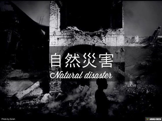 DANCING TULIPS | PPT