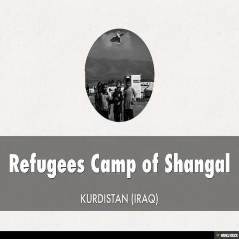 Refugees Camp of Shangal | PDF