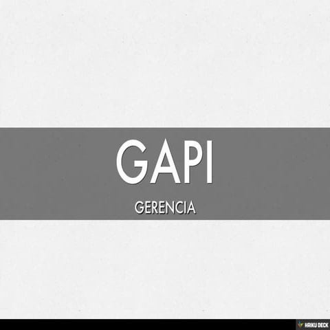 GAPI | PDF