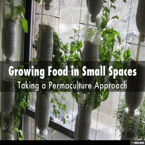 Growing Food in Small Spaces | PDF