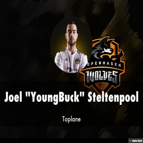 Copenhagen Wolves | PDF