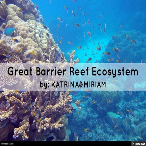 Great Barrier Reef Ecosystem | PDF