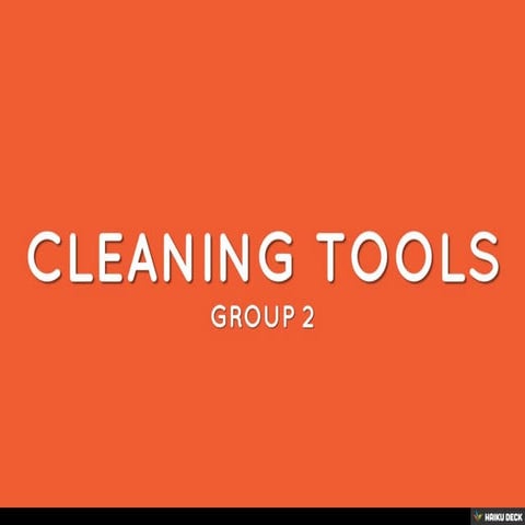 CLEANING TOOLS | PDF