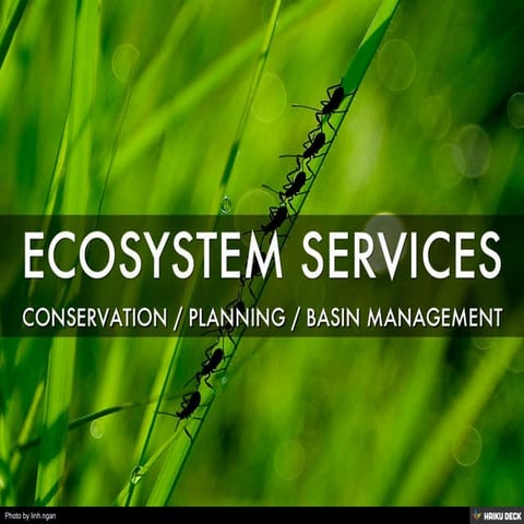 ECOSYSTEM SERVICES | PDF