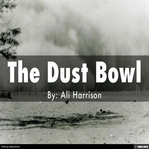 The Dust Bowl | PDF