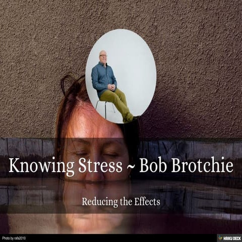 Knowing Stress ~ Bob Brotchie | PDF