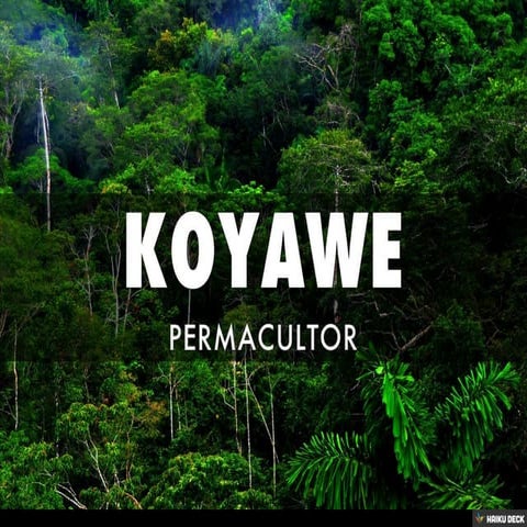 KOYAWE | PDF