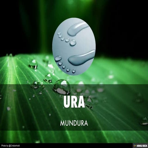 URA | PPT