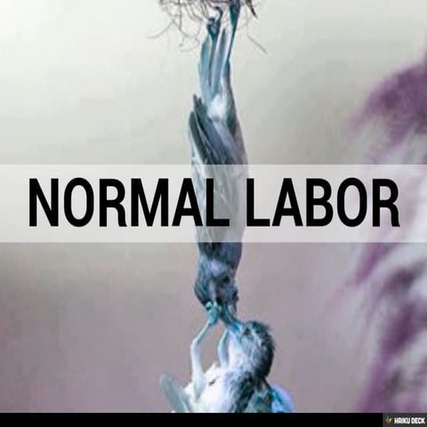 normal labor | PPT