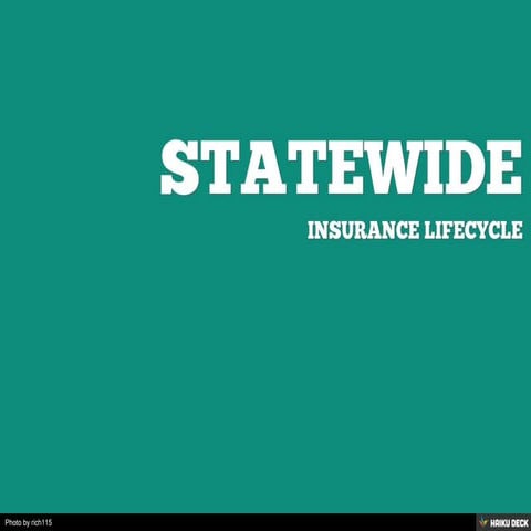 Statewide Insurance - Lifecycle | PDF