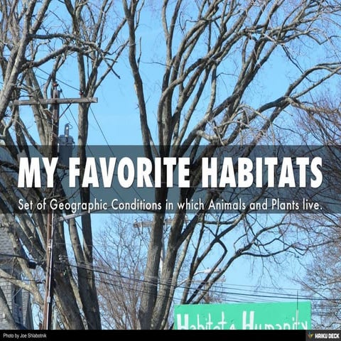 MY FAVORITE HABITATS | PDF