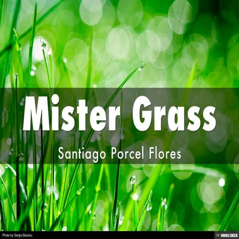 Mister Grass | PPT