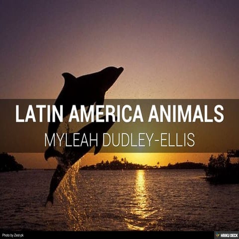Latin America Animals | PDF