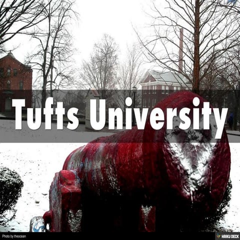 Tufts University | PDF