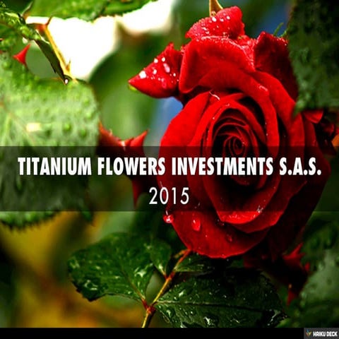 TITANIUM FLOWERS INVESTMENTS S.A.S. | PDF