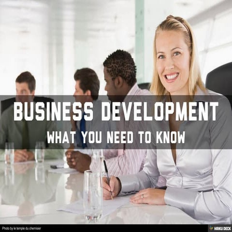 Business Development | PDF