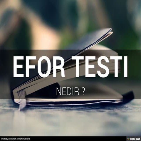 Efor Testi | PDF