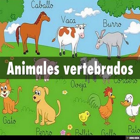 Animales vertebrados | PDF