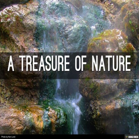 A tREASURE OF NATURE | PDF