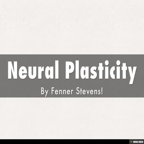 Neural Plasticity | PDF