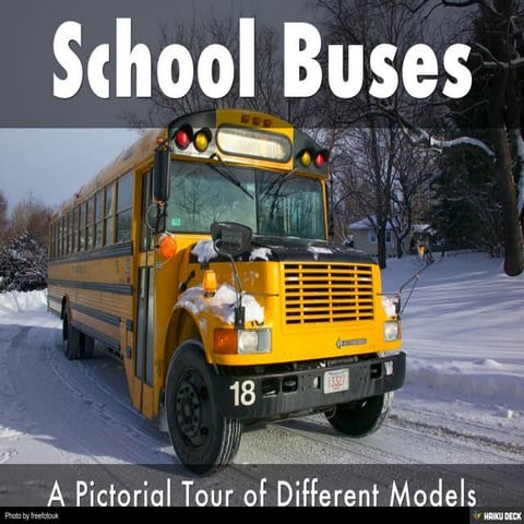 School Buses | PDF