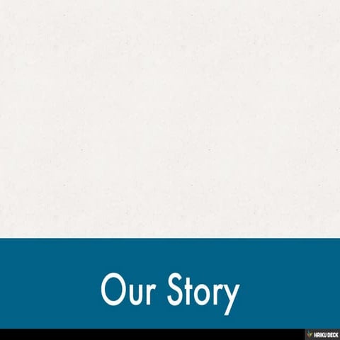 Our Story | PDF | Startups | Business