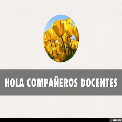 HOLA COMPAÑEROS DOCENTES | PDF