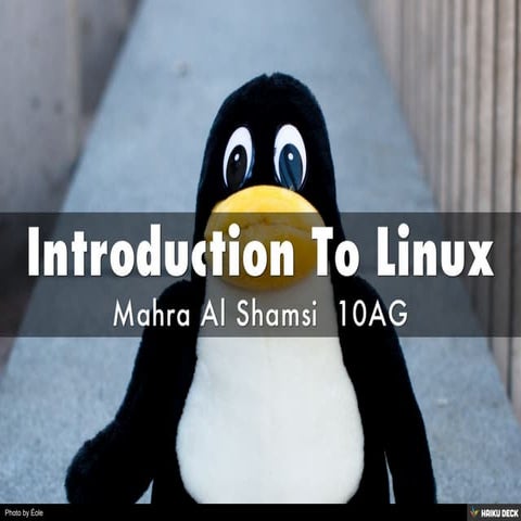 Introduction To Linux | PDF