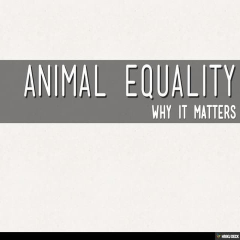 Animal Equality | PPT