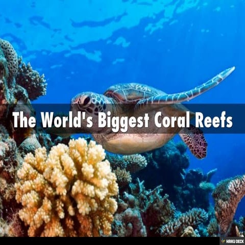 The World's Biggest Coral Reefs | PDF