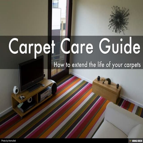 Carpet Care Guide | PPT