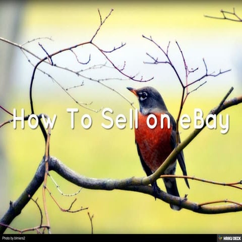 How To Sell On Ebay Pdf Poetry Books And Literature