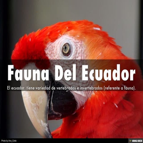 Fauna Del Ecuador | PPT