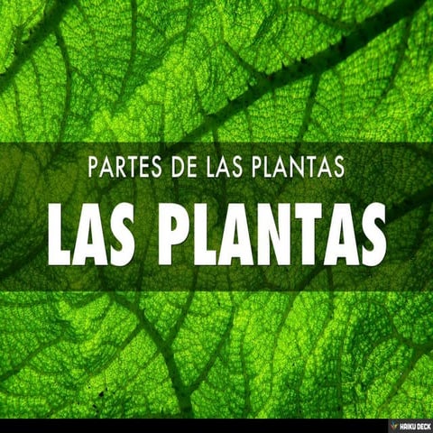 LAS PLANTAS | PDF