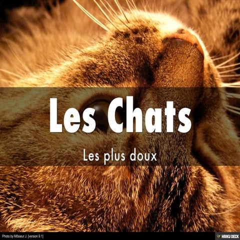 Les Chats | PPT