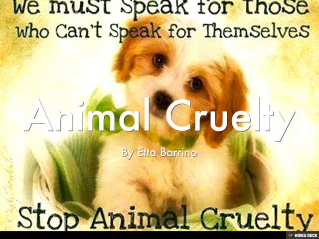 Stop Animal Abuse Quotes